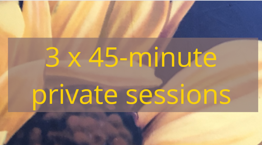 Your Core Marketing Message 90-Day Challenge - Kameleon Digital Marketing